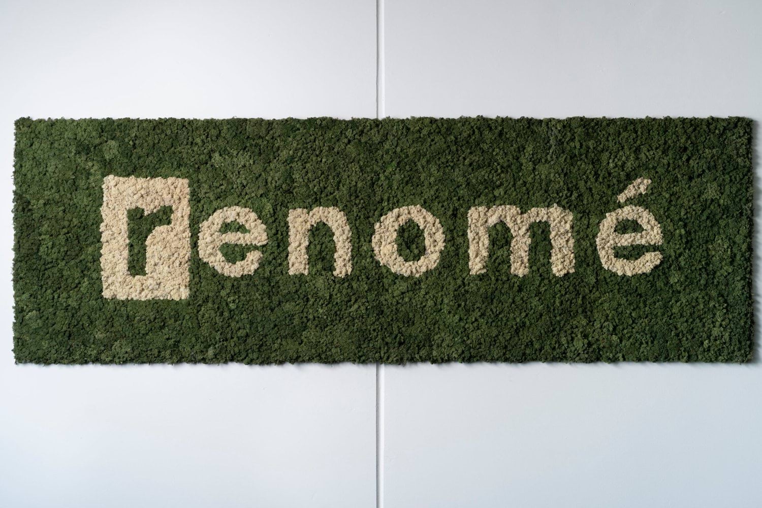 Sådan holder du dit hjem fri for støv og allergener - Renomé